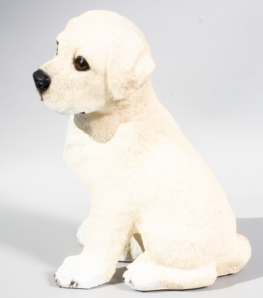 Coin Money Bank Dog Statue Large Piggy Save Box Adult Figure Labrador ...