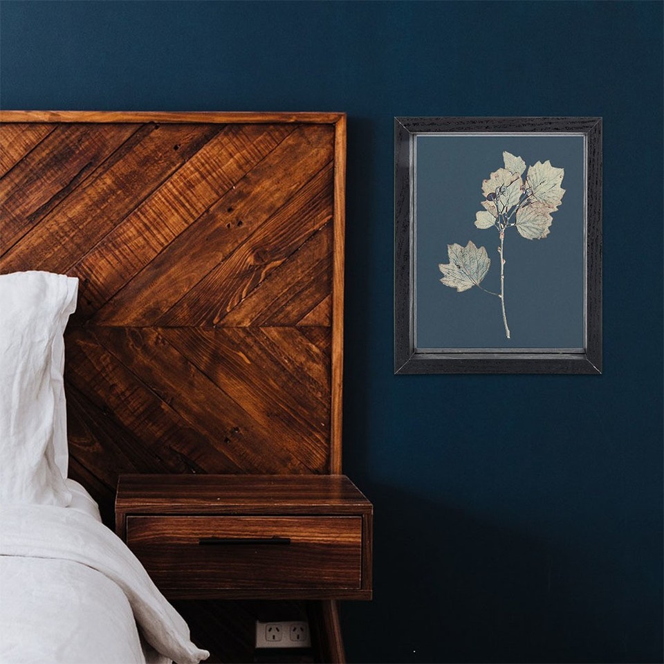 Shadow Box Display Frame Glass Picture Desktop DIY Photo Specimen ...