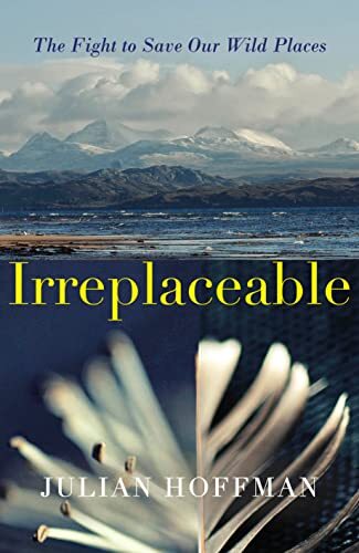 Irreplaceable | eBay