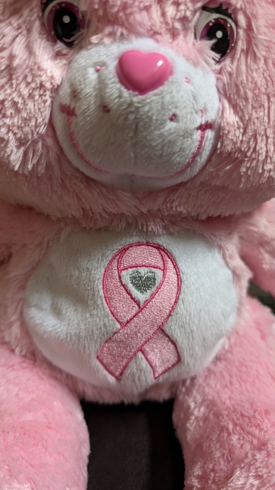 Care Bears Pink Power Bear 2008 Breast Cancer Awareness Collector Plush ...