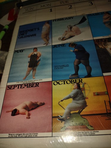 Bridget's Diet Calendar 1991 Unopened Ivory Tower Publishing Kitschy ...