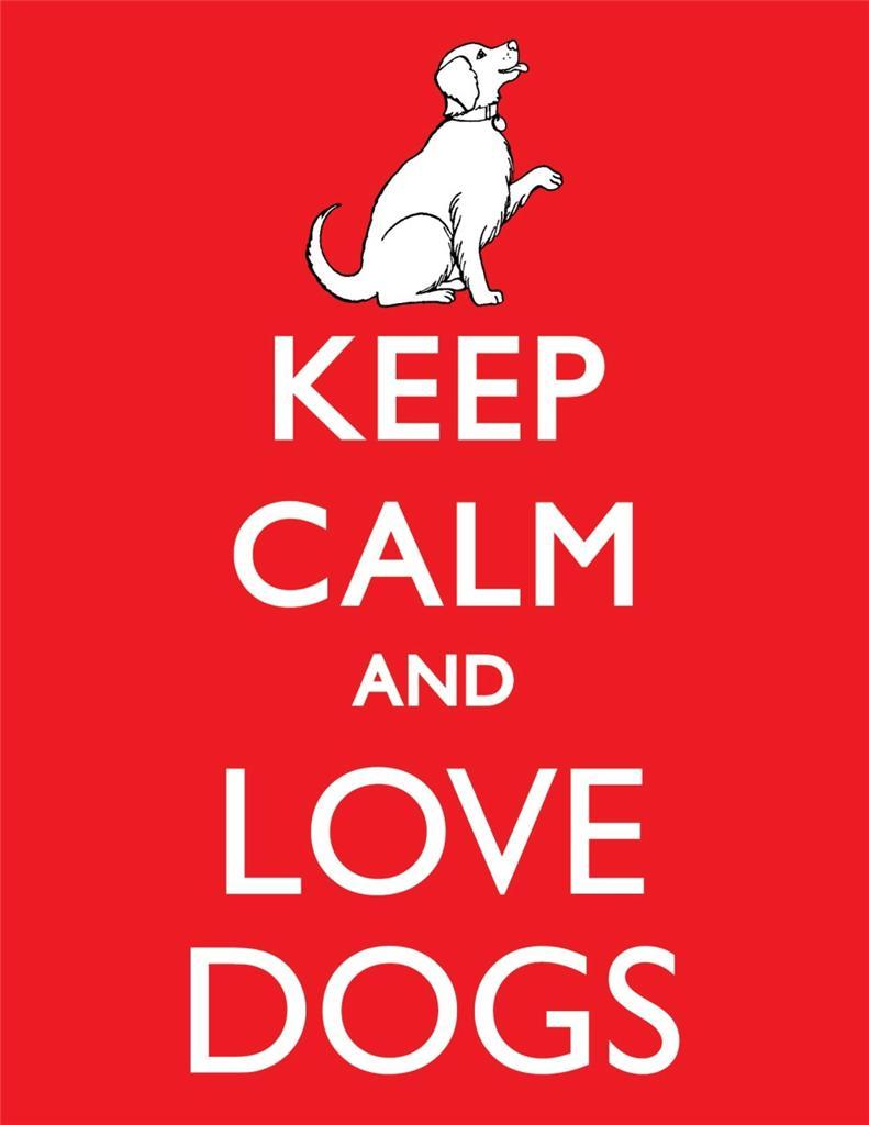 Keep Calm Wallpapers Animal KEEP CALM AND LOVE DOGS