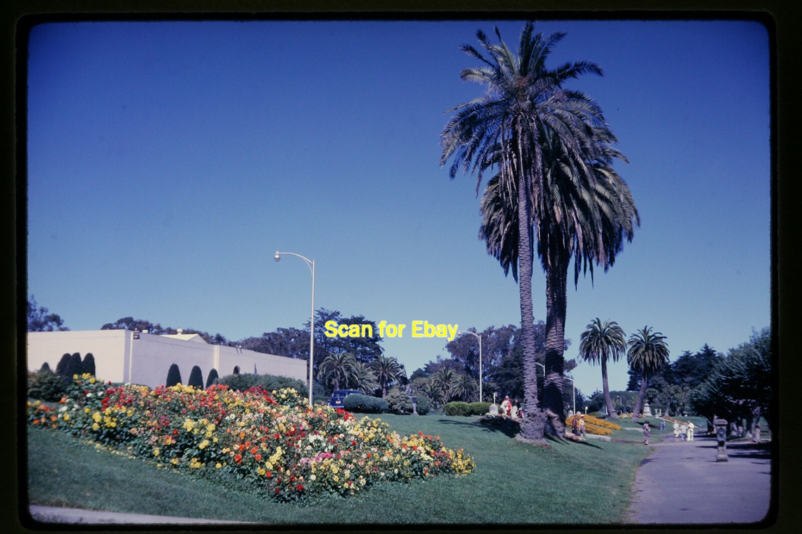 Park in San Francisco on Bridge in 1961, Kodachrome Slide aa 16-6a | eBay