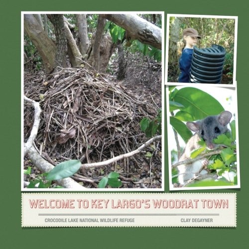 KEY LARGO'S WOODRAT TOWN By Clay Degayner **BRAND NEW** 9781530108596| eBay