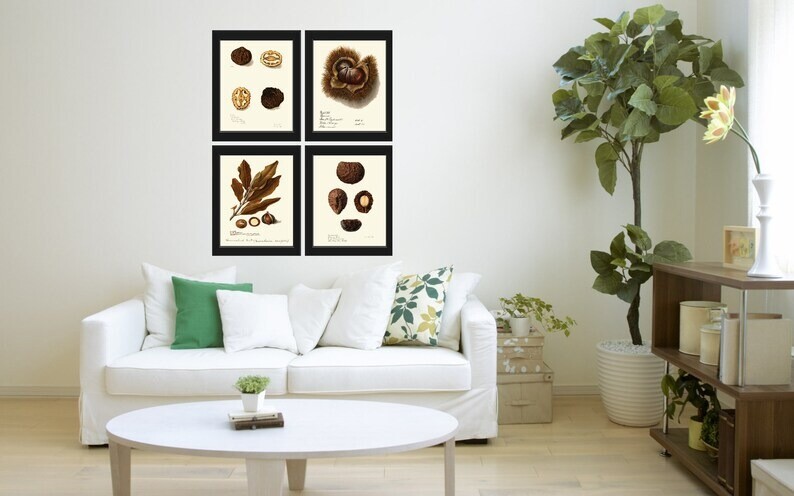 Nuts Kitchen Dining Room Wall Art Prints Set of 4 Beautiful Antique ...