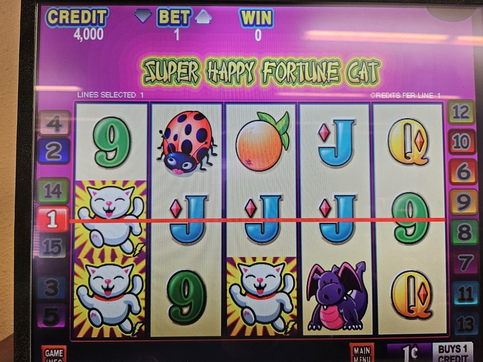 IGT GK001627 Super Happy Fortune Cat 044 Flash Board with Bootchip ...