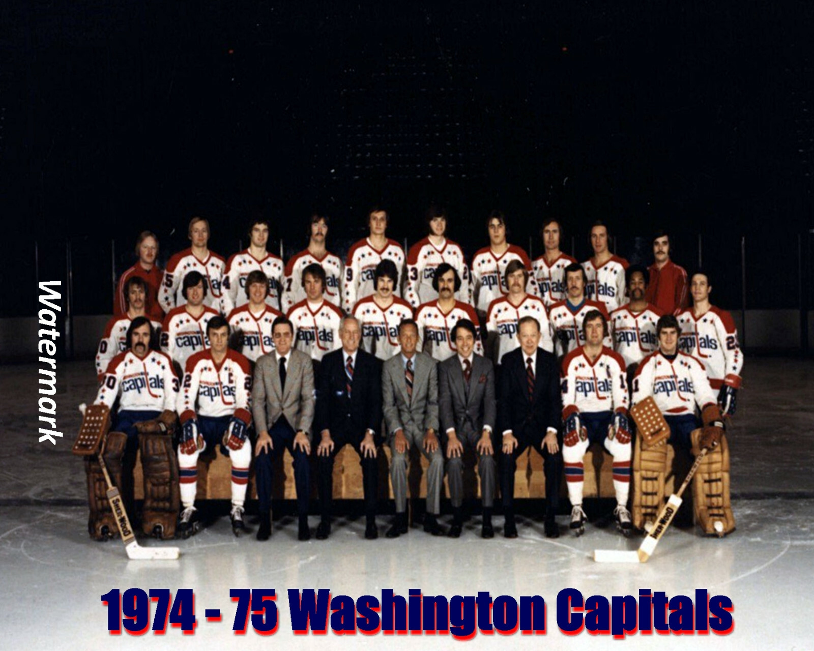 NHL 1974 - 75 Inaugural Season Washington Capitals Team Pic Color 8 X ...