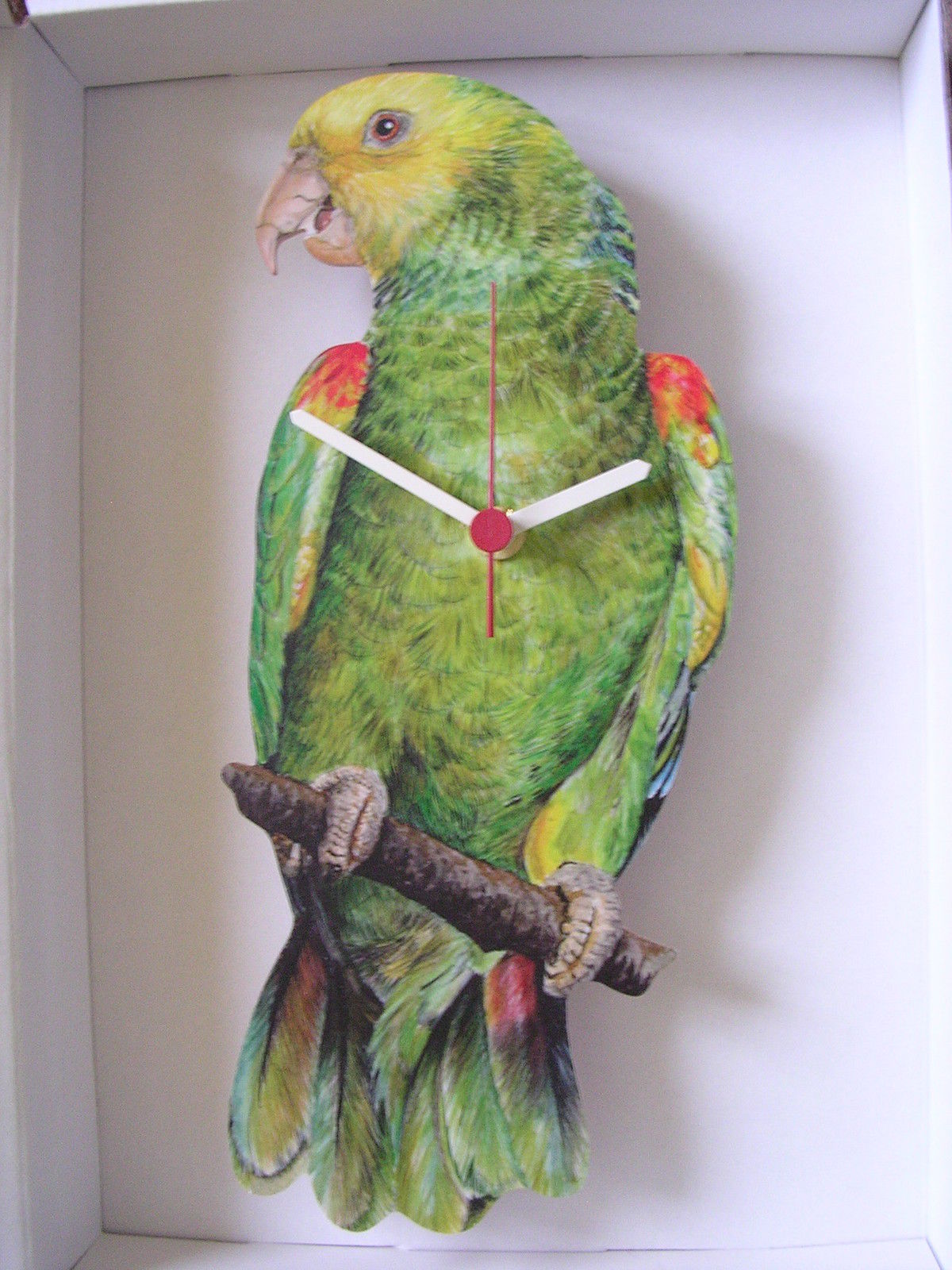 PARROT BIRD WALL CLOCK.NEW & BOXED.6 DESIGNS TO CHOOSE FROM.MADE IN UK ...