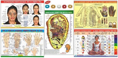 Acupressure Face, Reflex, Sujok Byol, Chakra, Ear Charts (Set of 5 ...