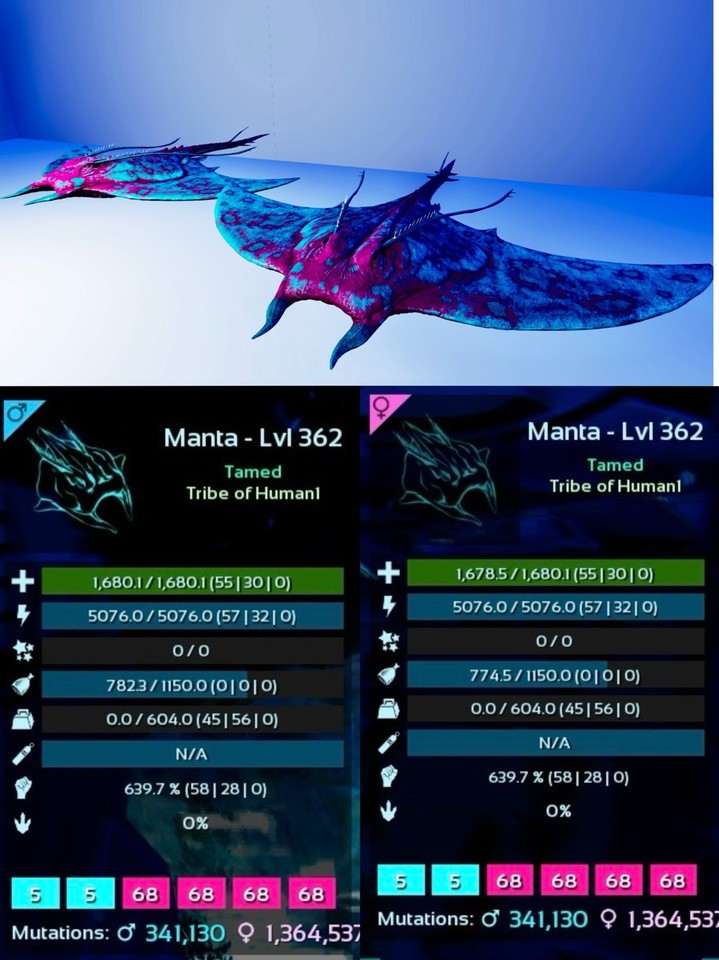 Manta Pair Level 362 ARK🦕 Survival Ascended ASA PVE PC/XBOX/PS | eBay