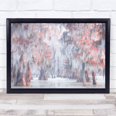Marsh Swamp Red Trees Water Landscape Wall Art Print | eBay UK