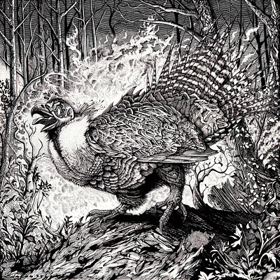 Fire Grouse | Ink drawing | art print by Alex Dakos | eBay