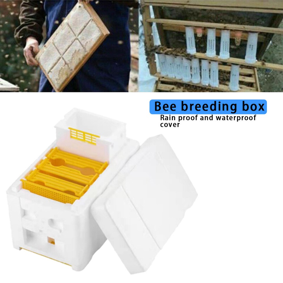 # Bee Hive Foam Beekeeping Box King Beehive Garden Bee Keeping Bee Tool ...