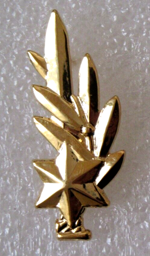Israel IDF Military Army Barak Command and Headquarters Officer Gold ...