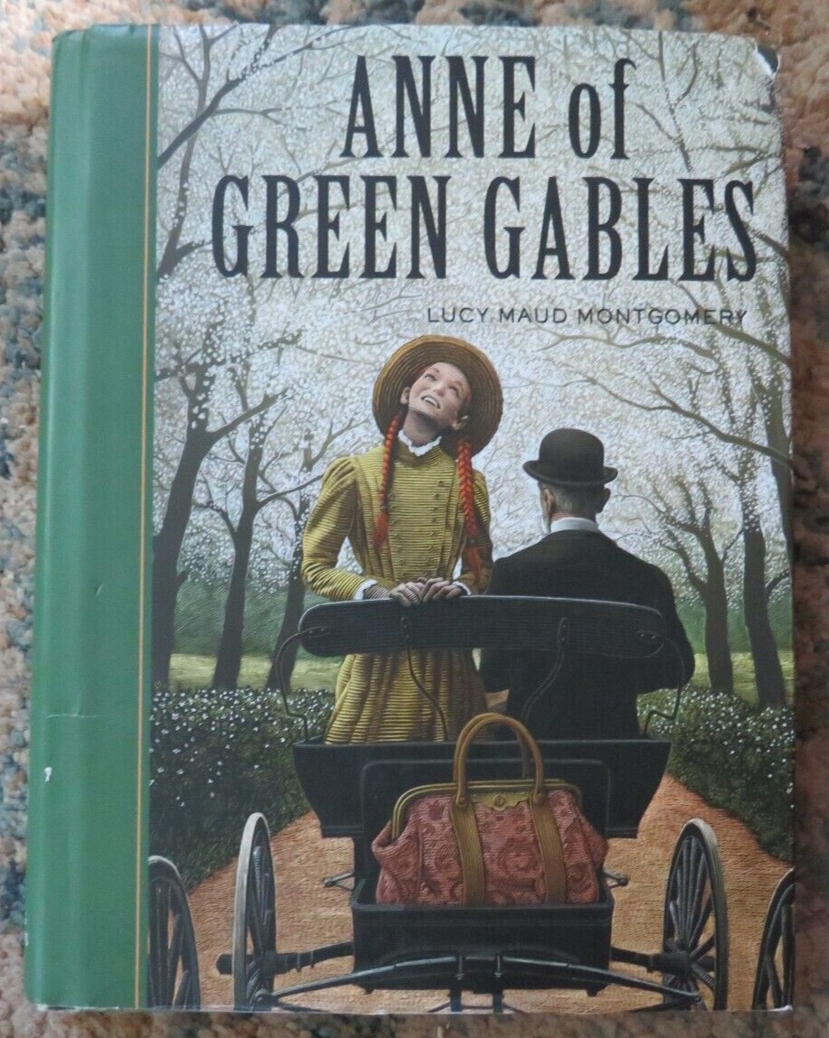 Anne of Green Gables Study Guide and chapter book by Lucy Maud ...