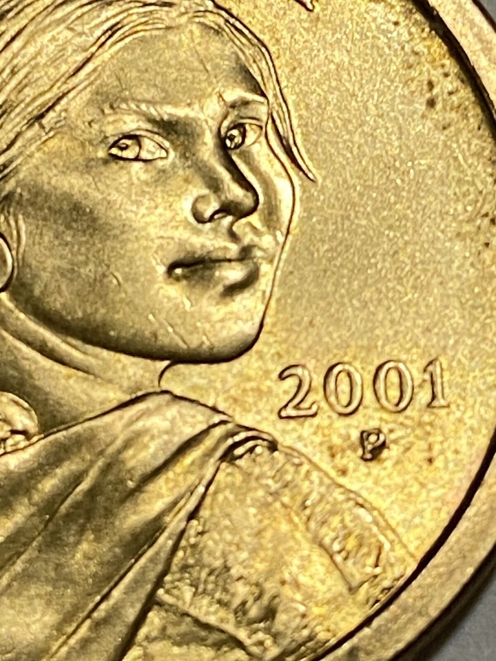 2000- P. Sacagawea 1 Dollar Gold Colored Coin Defective-Circulated | eBay