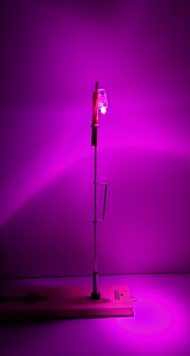 Ultra Bright Tip Up Or Tip Down Lights Led 3pk Non-Flashing (Pink) | eBay