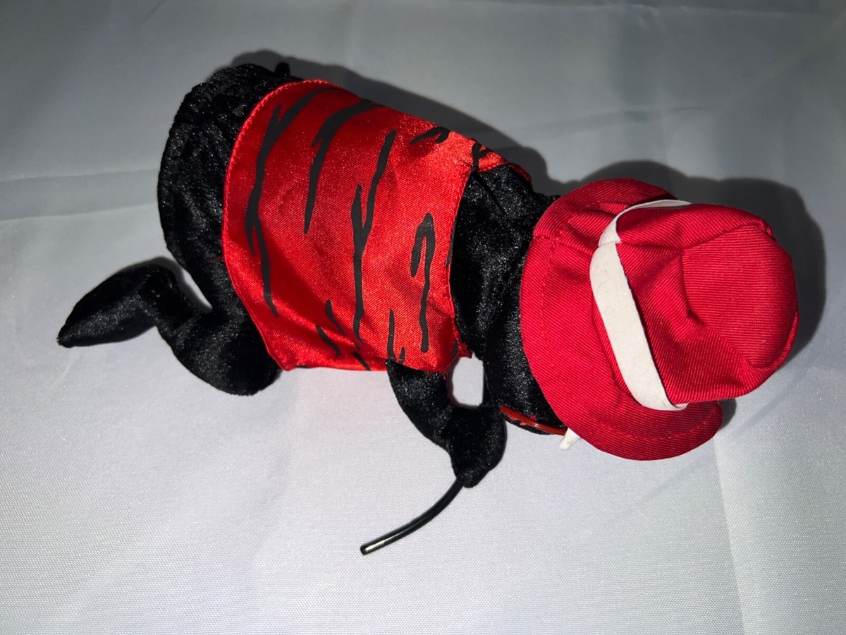 Frog Dancing With A Dog