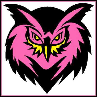 30 Custom Pink Wicked Owl Art Personalized Address Labels | eBay
