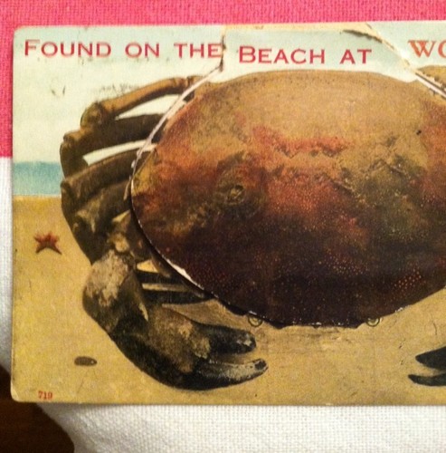 Rare Antique Postcard Foldout Crab On Beach Workington England Nice ...