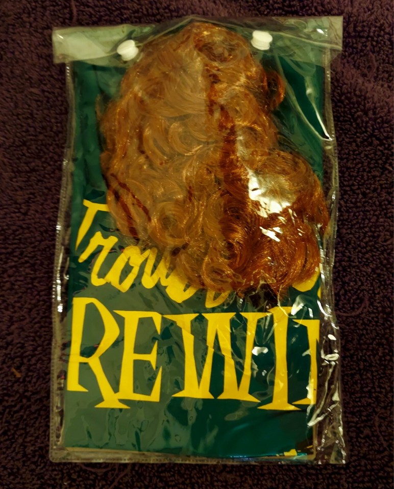 Disney Hocus Pocus Winifred Sanderson Dog Halloween Apparel - XLarge ...