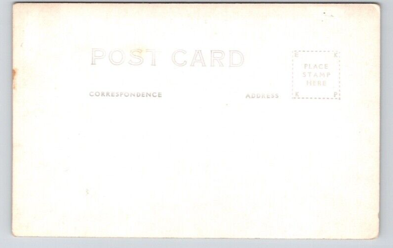 POSTCARD RPPC FISH (PROBABLY PIKE) ON A STRING ROSCOMMON MICHIGAN | eBay