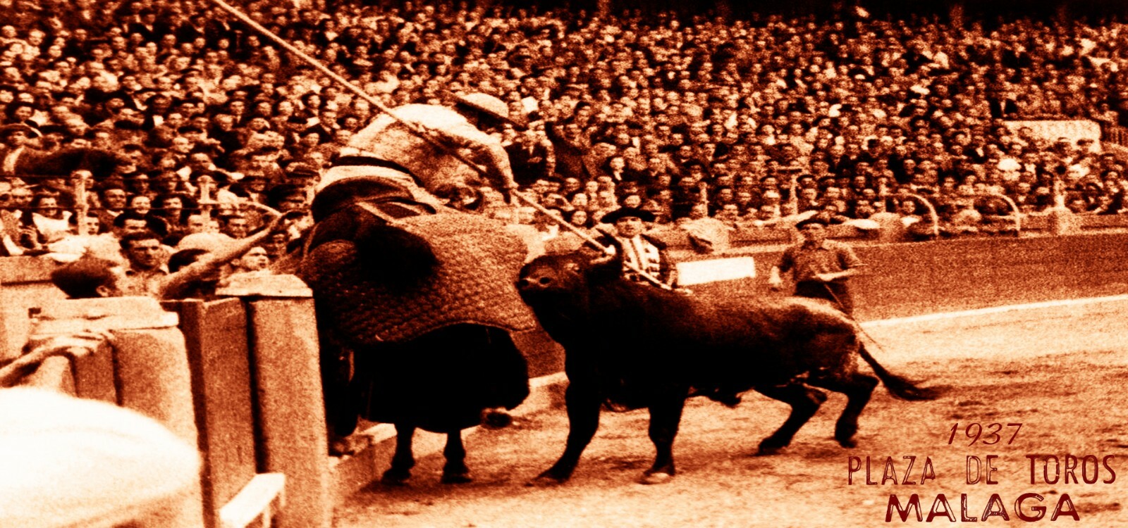 Bullfighting Vintage Poster #21 - Canvas Art Poster 12"x 24 | eBay