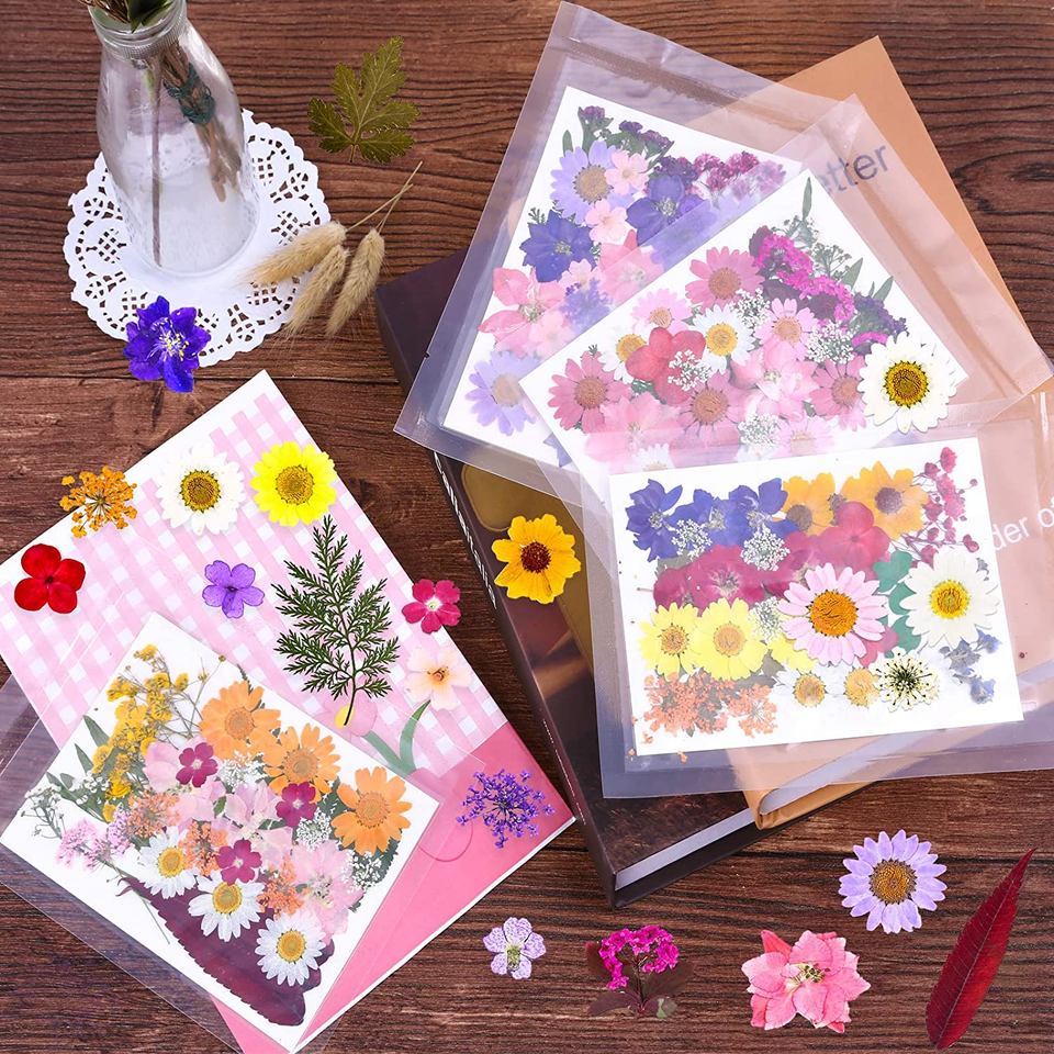 140 Pcs Dried Pressed Flowers for Resin, Real Pressed Flowers Dry ...