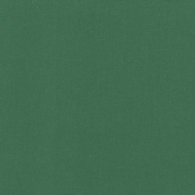 Adora Juniper Green Eco Friendly Canvas Upholstery Fabric by the Yard ...