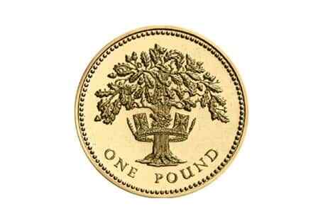 1983-2026 Rare £1 coins One Pound Coin Capital Cities, Flowers, King ...