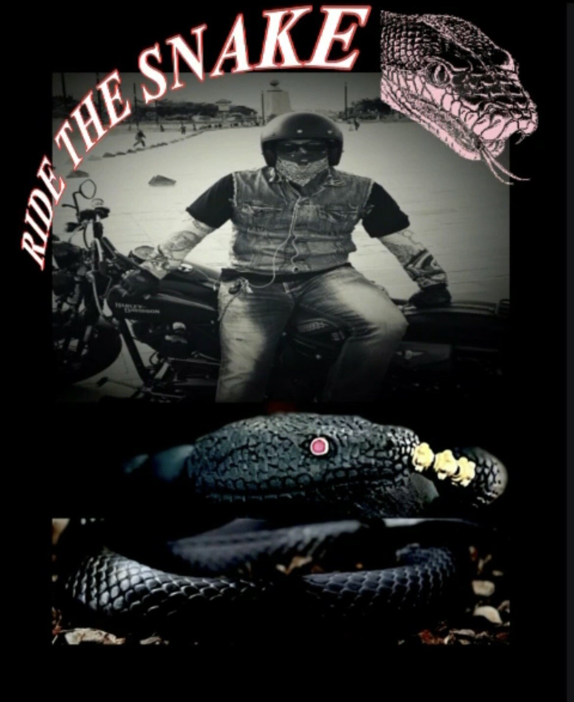 Bracelet Snake Biker Style | eBay