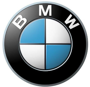 NEW BMW X1 F48 FRONT LEFT SPRING STRUT 6879655 37106879655 OEM NO DUTY ...