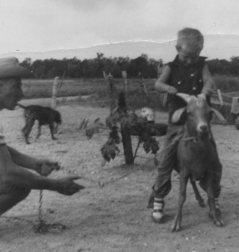 Boy Riding Goat with Man in Background Scenic Black and White Portrait ...
