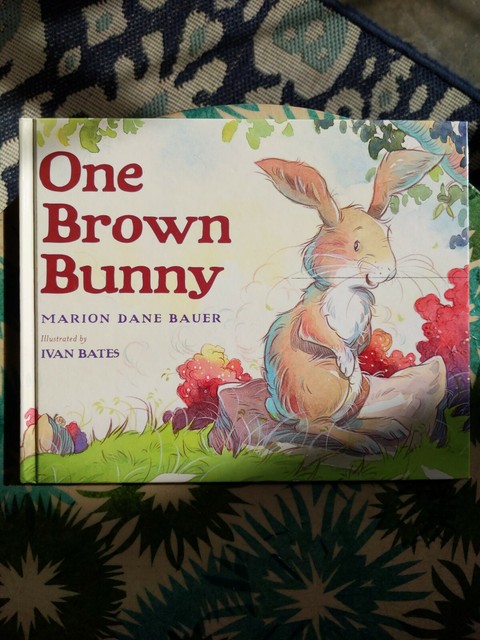 One Brown Bunny by Marion Dane Bauer (2009, Hardcover) for sale online ...