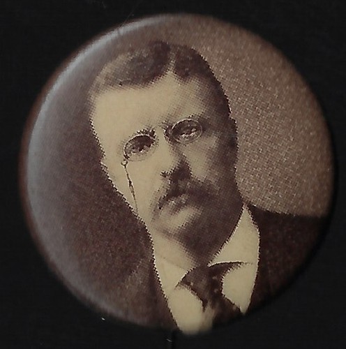 Smaller 1904 Teddy Roosevelt Rich Sepia Presidential Campaign Button ...