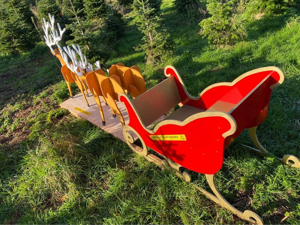 Santa Sleigh & Reindeers Rudolph Prancer Dasher Unpainted Easy Assemble ...