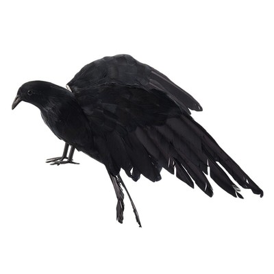 prop feathers Crow bird 25x40cm spreading Black Crow toy toy, prop ...