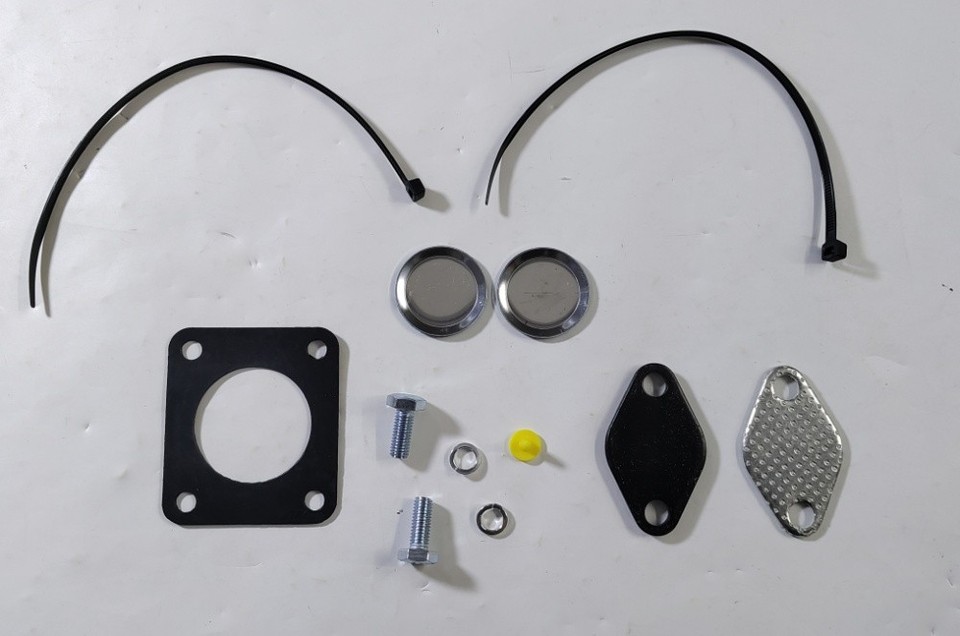 AGR EGR Ventil Entfernung Adapter Set Für BMW M47 M47N M57 M47N2 M67 ...