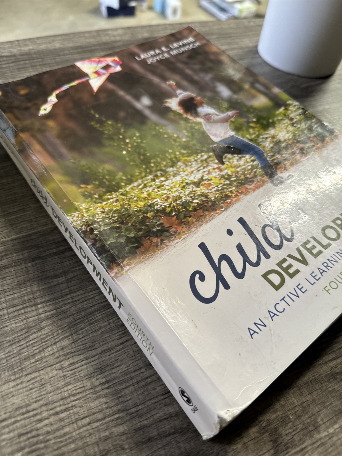 Child Development: An Active Learning Approach 9781544359748 | eBay