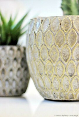 Small Rustic Flower Pot Bowl Scales Home Decor Plant Holder Pots Indoor ...