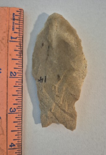 Florida Paleo Arrowhead Artifact Simpson Bull Tongue Preform Columbia ...