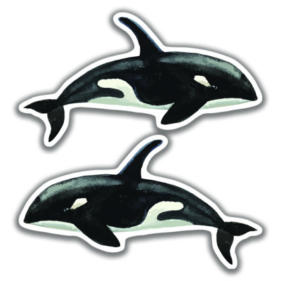 ORCA KILLER WHALE DECAL 2 Stickers Bogo Car Window Bumper 4x4 | eBay