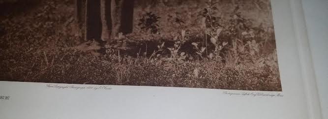 Large Format Original Photogravure | Curtis | Moss Cree Baby Bags, 22 ...