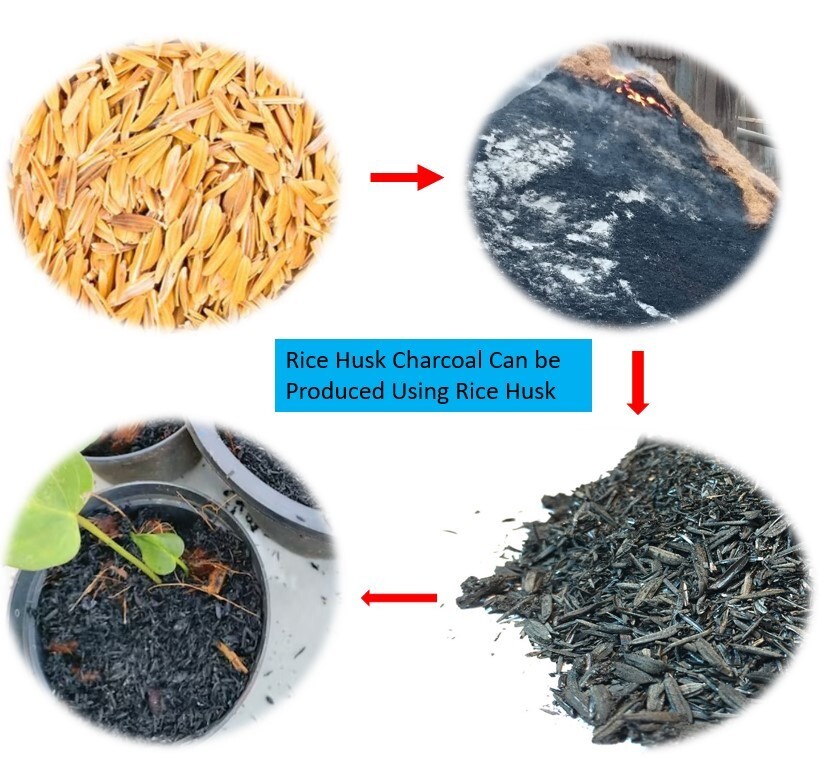 Rice Hulls Rice Husks Hydroponic Grow Media Compost Fertilizers Organic ...