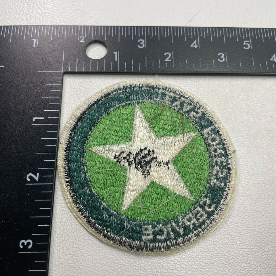 VTG, Kinda Rough Edges TEXAS FOREST SERVICE Texas Patch 29MZ | eBay