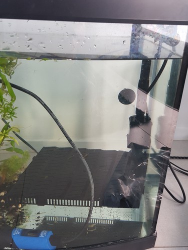 Aqua One Aquastart 320 Undergravel Filter (11893) for sale online ...