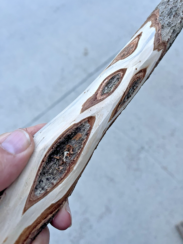 38" Diamond Willow (COLORFUL 💎 CANE) Wood CARVING, Walking Stick, Pimp ...