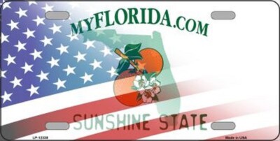 FLORIDA STATE WITH AMERICAN FLAG BACKGROUND METAL NOVELTY LICENSE PLATE ...
