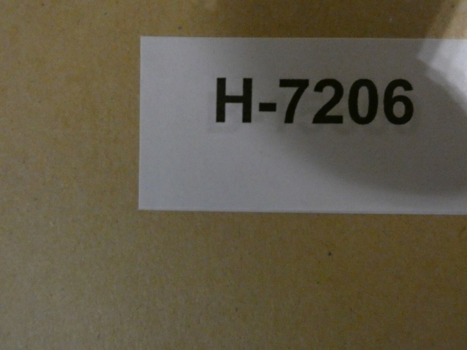 Masked Gull F.O.Morris ca.1860 kolorierter Druck H7206 | eBay