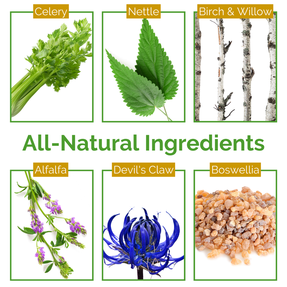 Lifetones Uric Acid Support Liquid Tincture - 3.38 Fl Oz | eBay